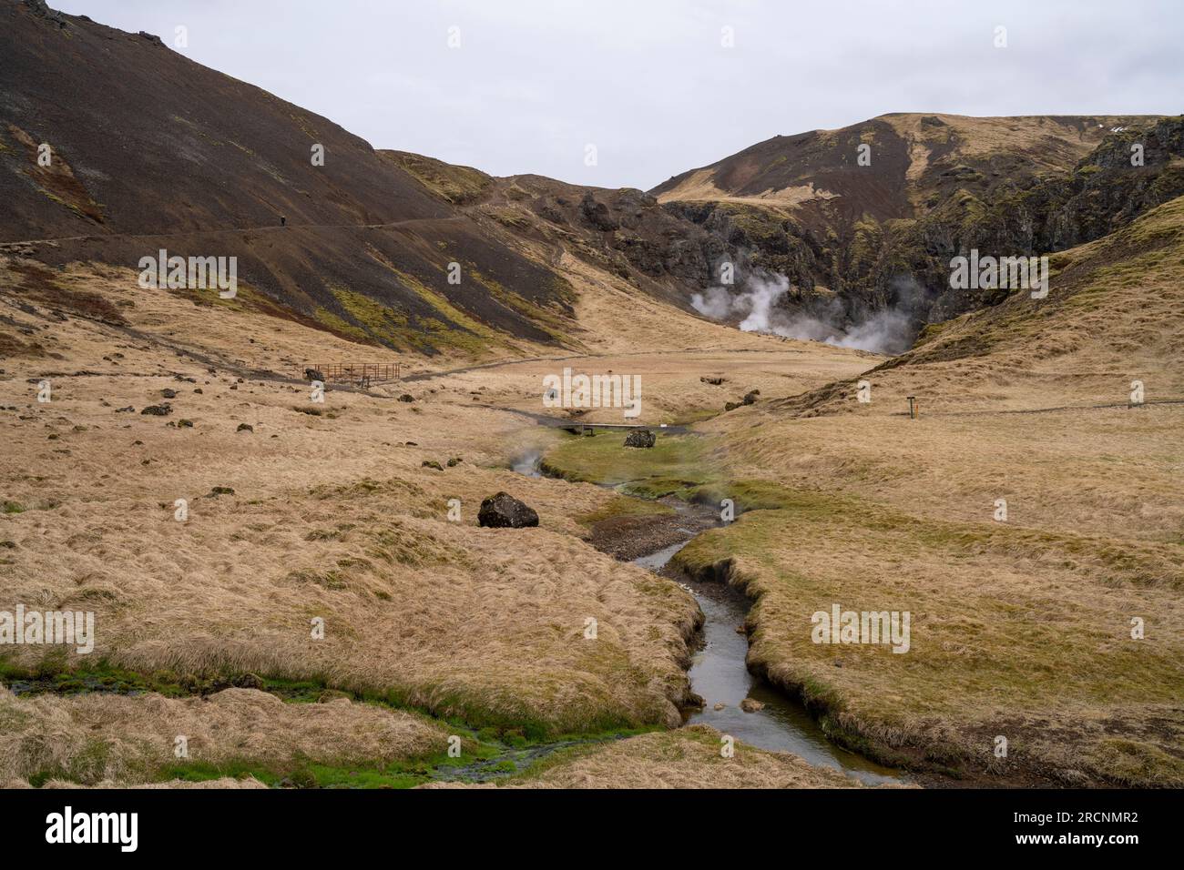 Steaming hot Stream of Water in Reykjadalur Hot springs Iceland Stock ...