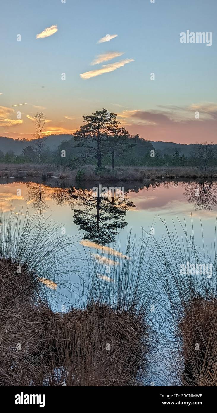 Winter views across Frensham Common at sunset moody axe pond little ...