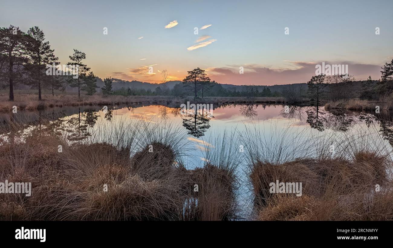 Winter views across Frensham Common at sunset moody axe pond little ...