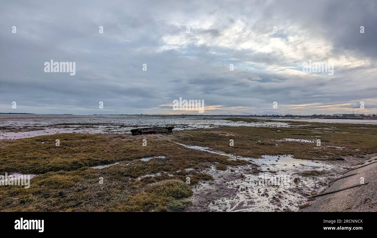 Farlington Marshes Nature Reserve Portmouth Easturary mud flats little ...