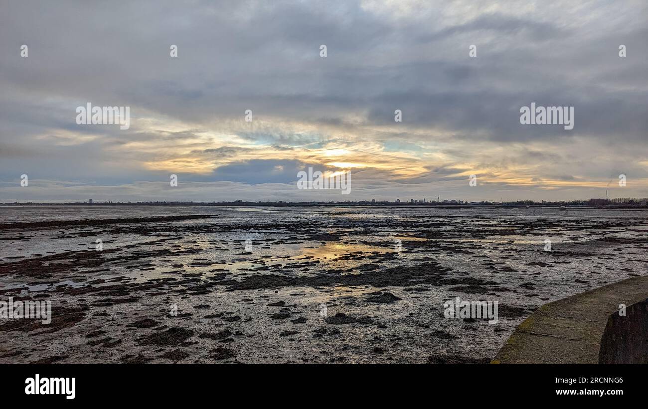 Langstone harbour and geese hi-res stock photography and images - Alamy