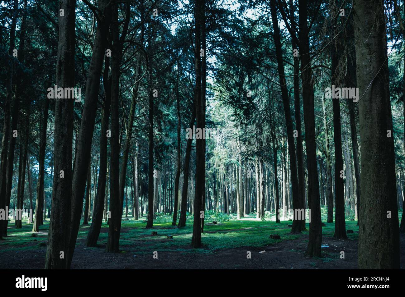 Kinare hi-res stock photography and images - Alamy