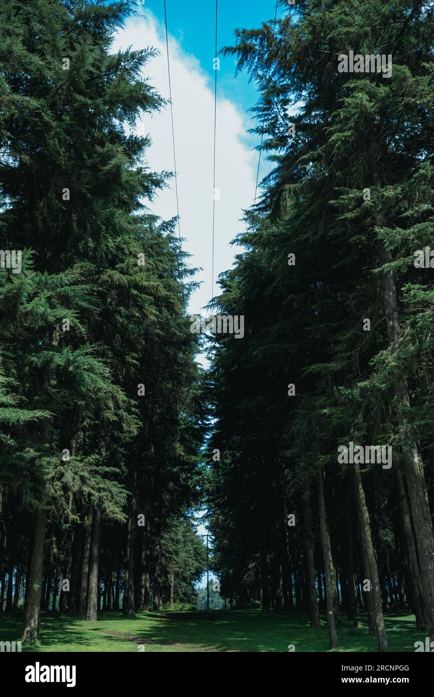 Kinare hi-res stock photography and images - Alamy