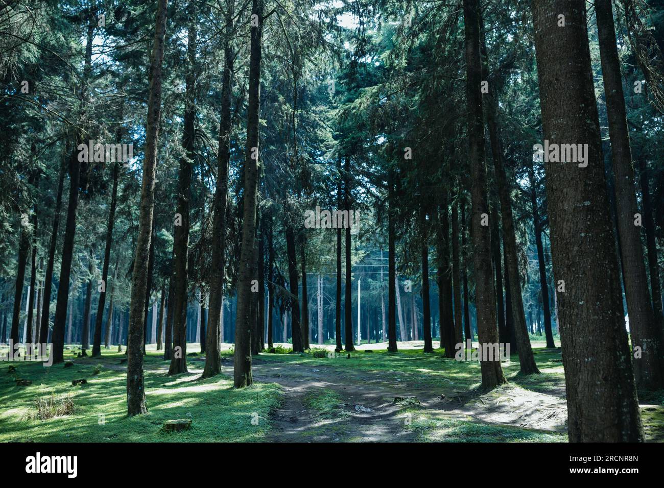 Kinare hi-res stock photography and images - Alamy