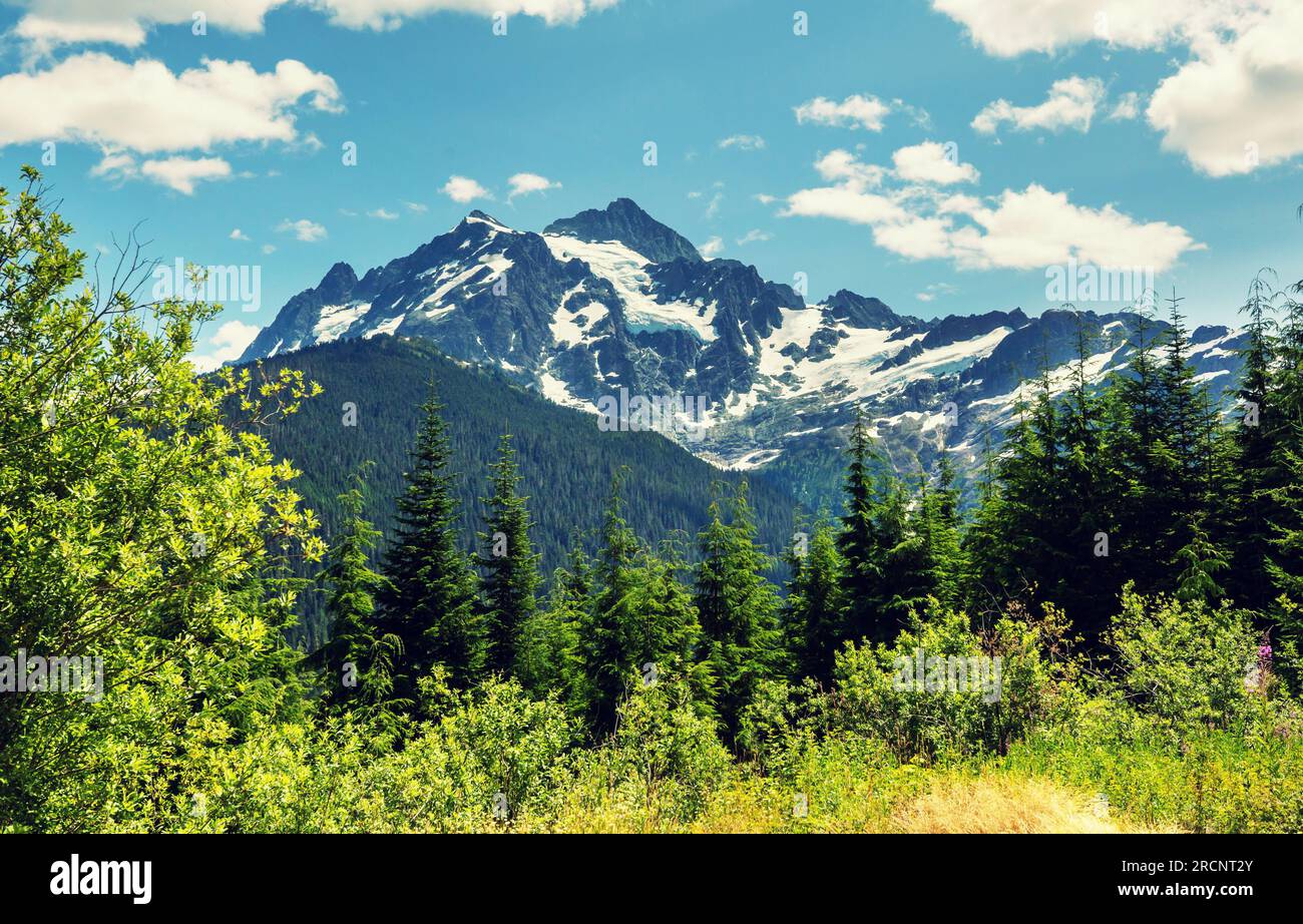 Mount shuksan hiker hi-res stock photography and images - Alamy