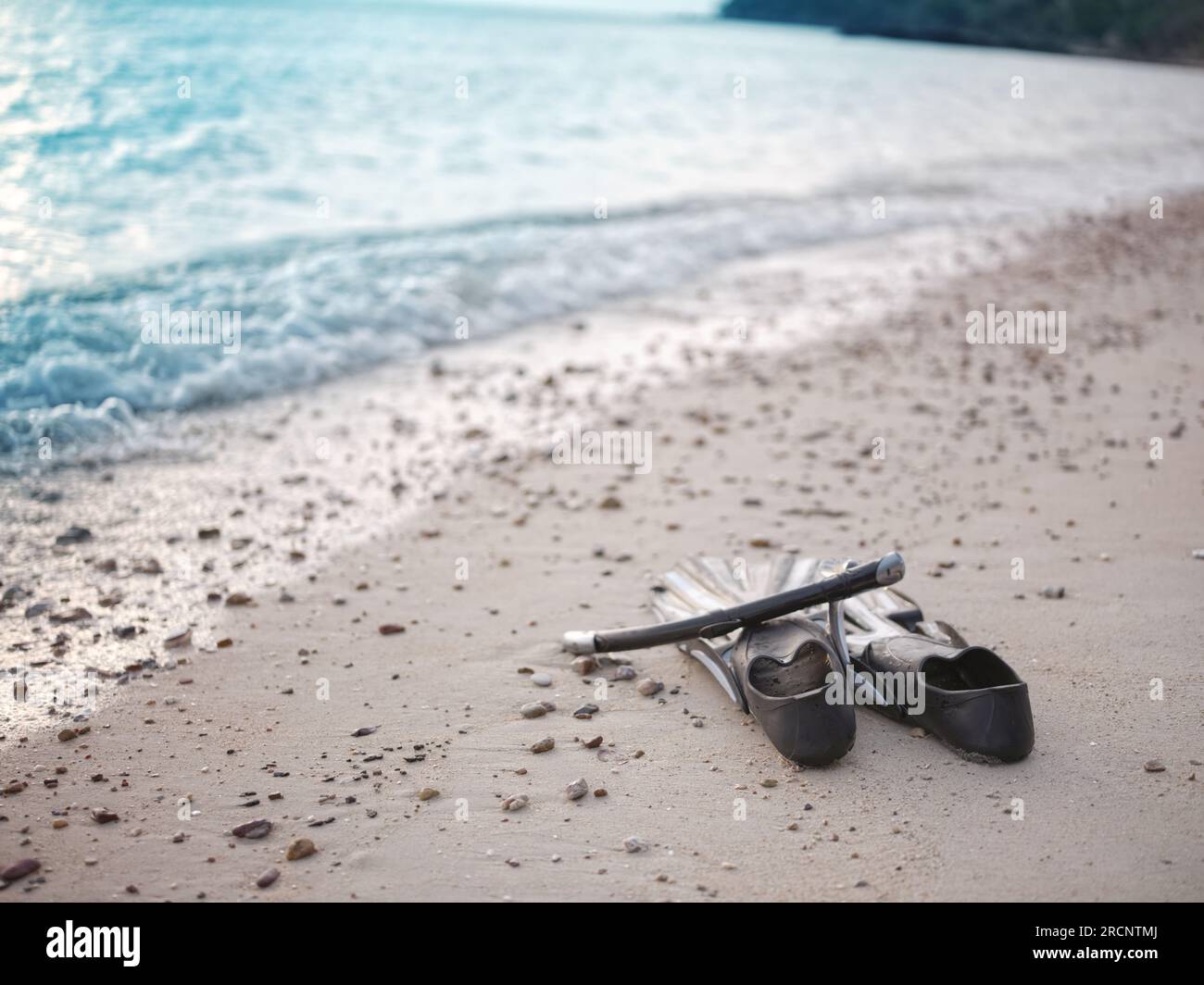 Scuba diving fins on a beach . Concept TRAVEL , Scuba diving Stock ...