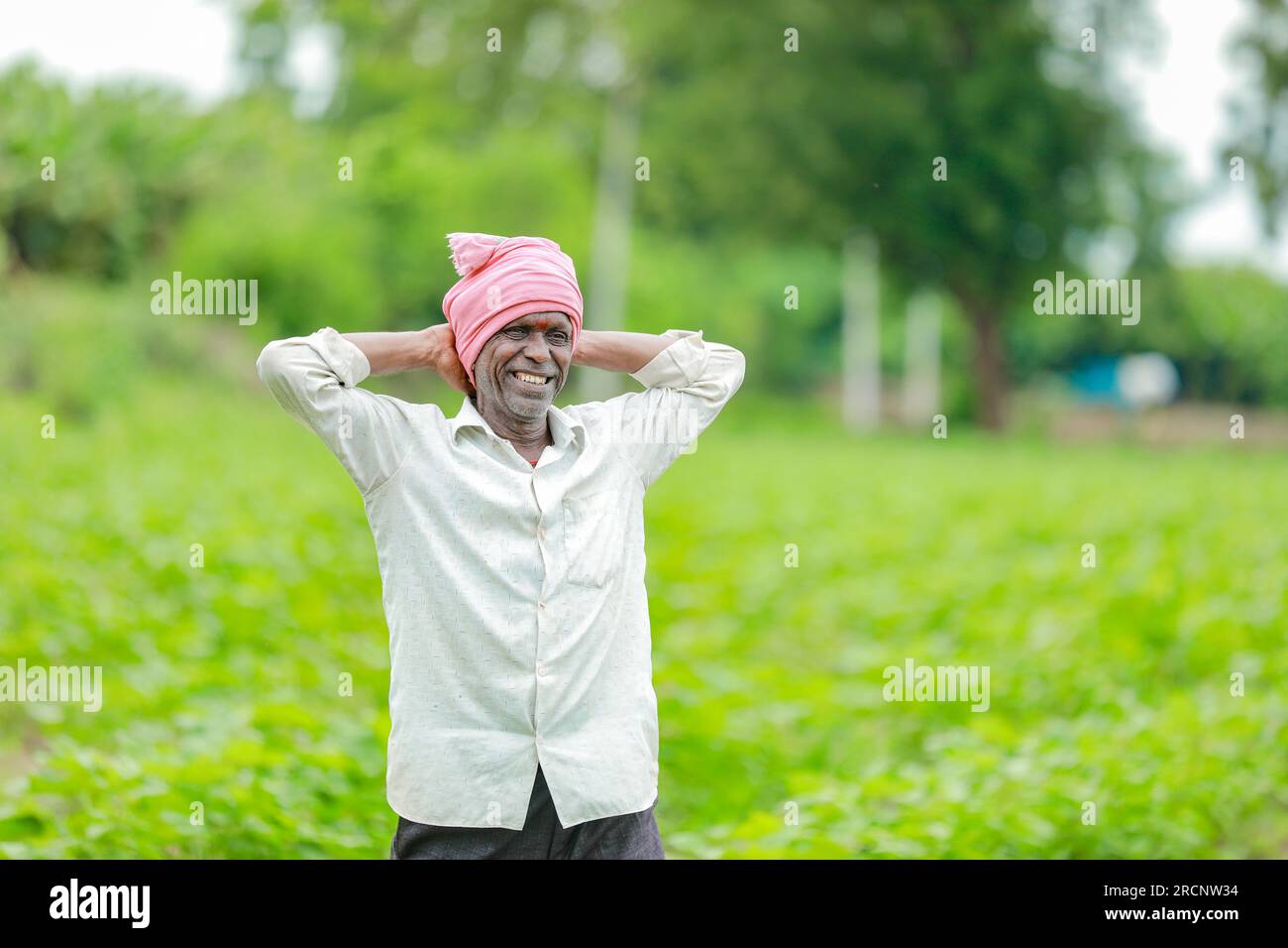 Cotton plantation in rural hi-res stock photography and images - Alamy