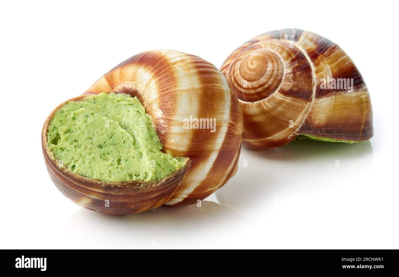 escargot snail filled with garlic and parsley butter isolated on white ...
