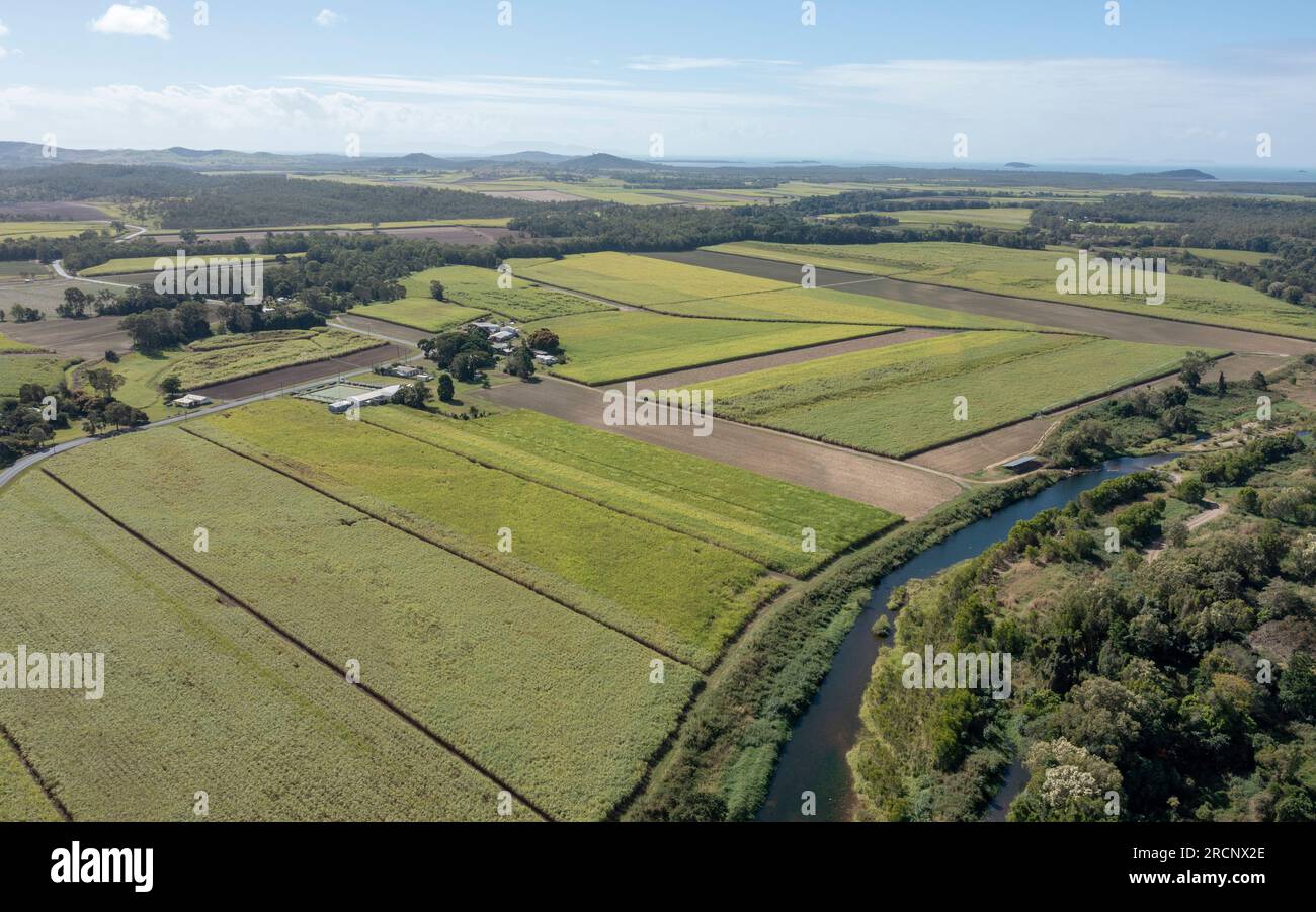 sugar cane crops ready for harvest near the Queensland town of Calen ...