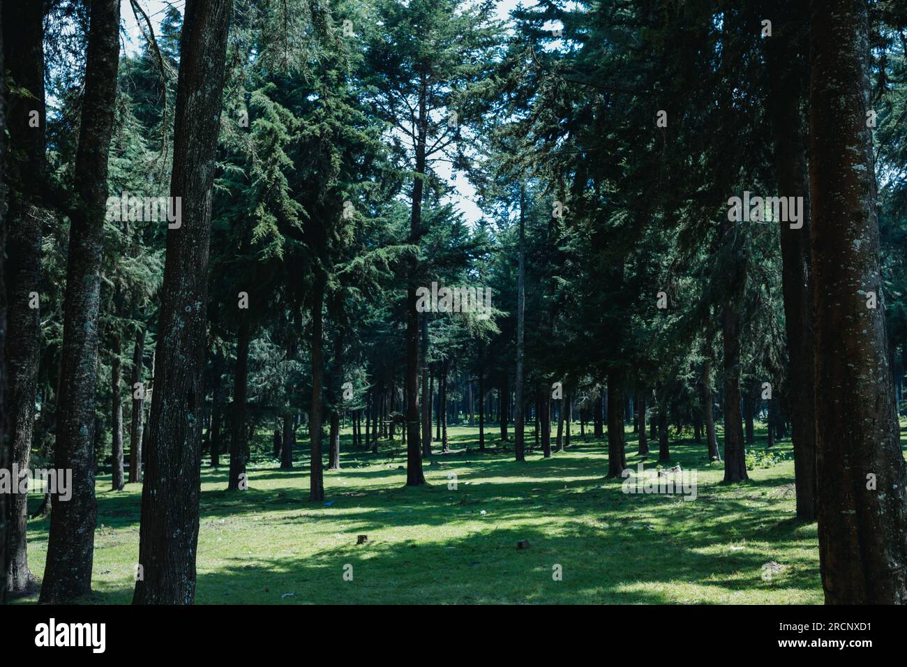 Kinare hi-res stock photography and images - Alamy