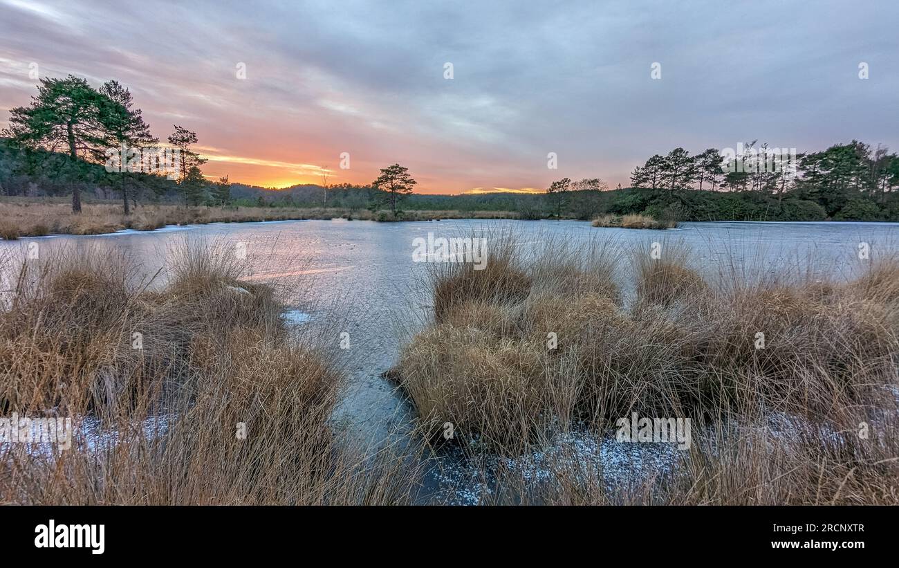 Frensham Common ANOB Nature Reserve Low Land Heath National Trust Axe ...