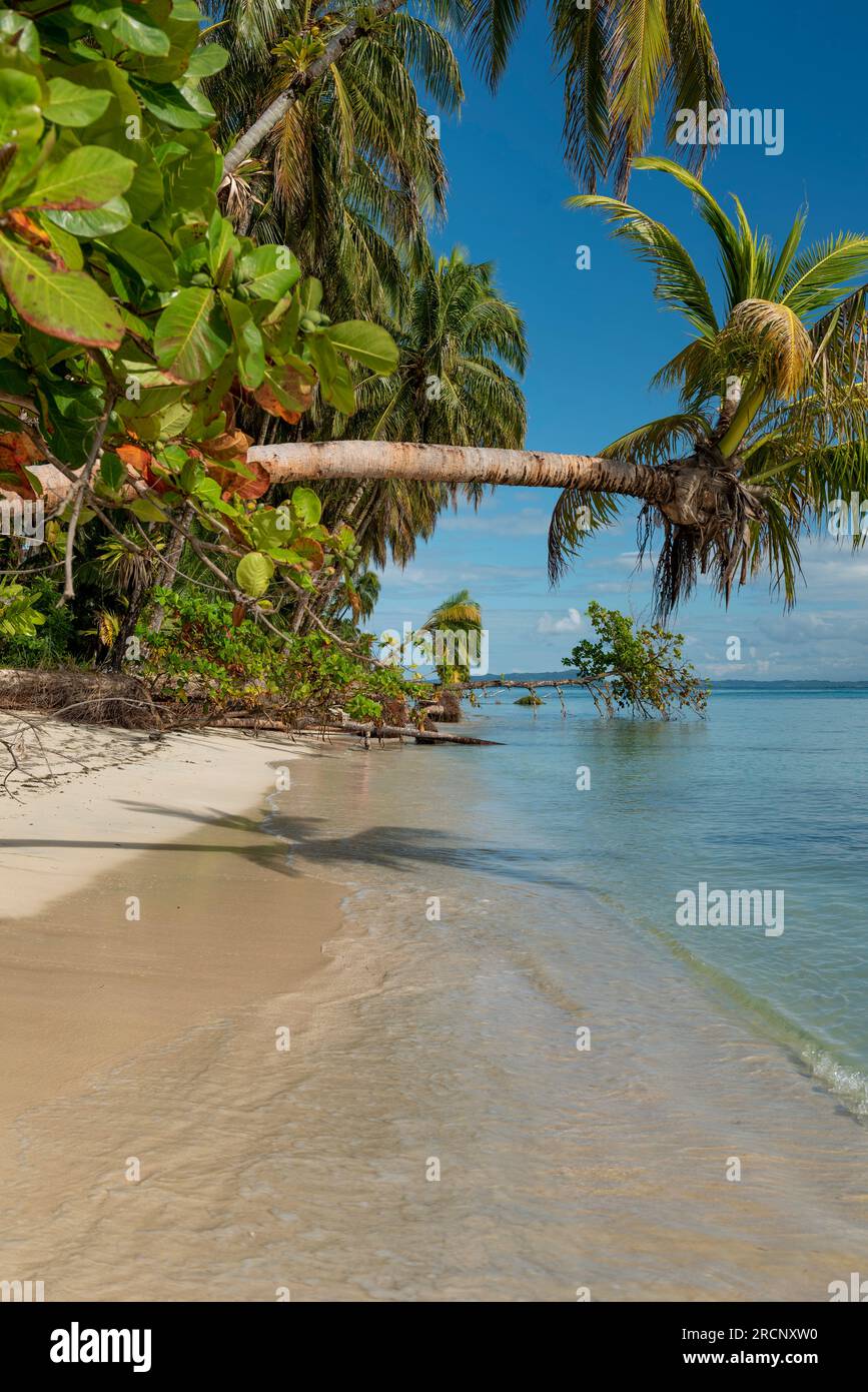 Small island beach in the Caribbean, Zapatilla key, Bocas del Toro ...