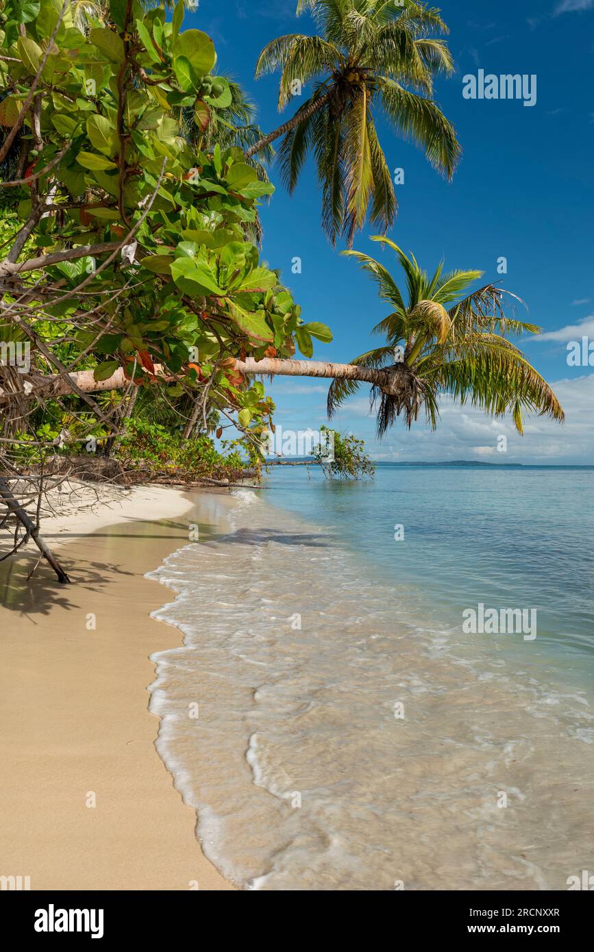 Small island beach in the Caribbean, Zapatilla key, Bocas del Toro ...