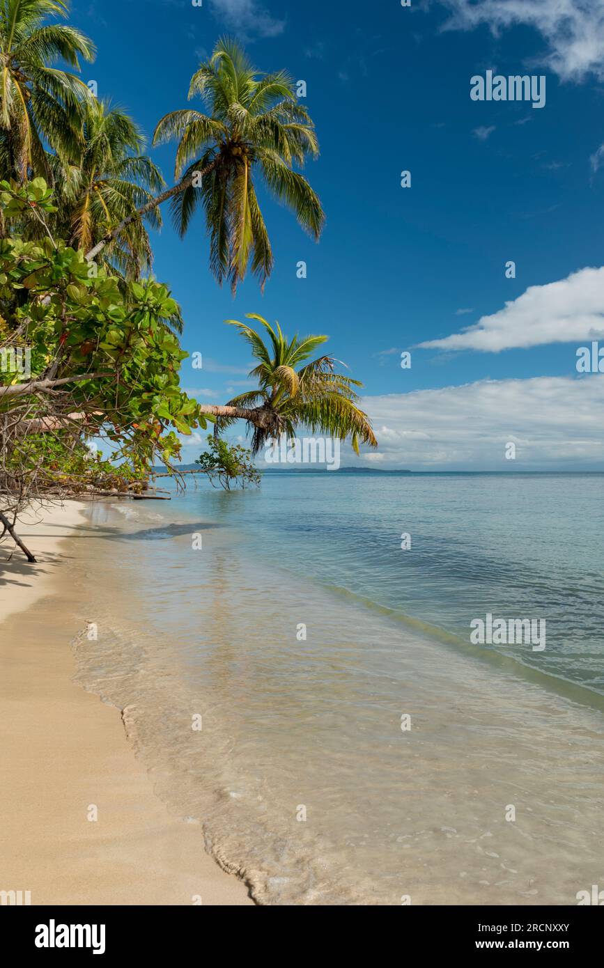 Small island beach in the Caribbean, Zapatilla key, Bocas del Toro ...