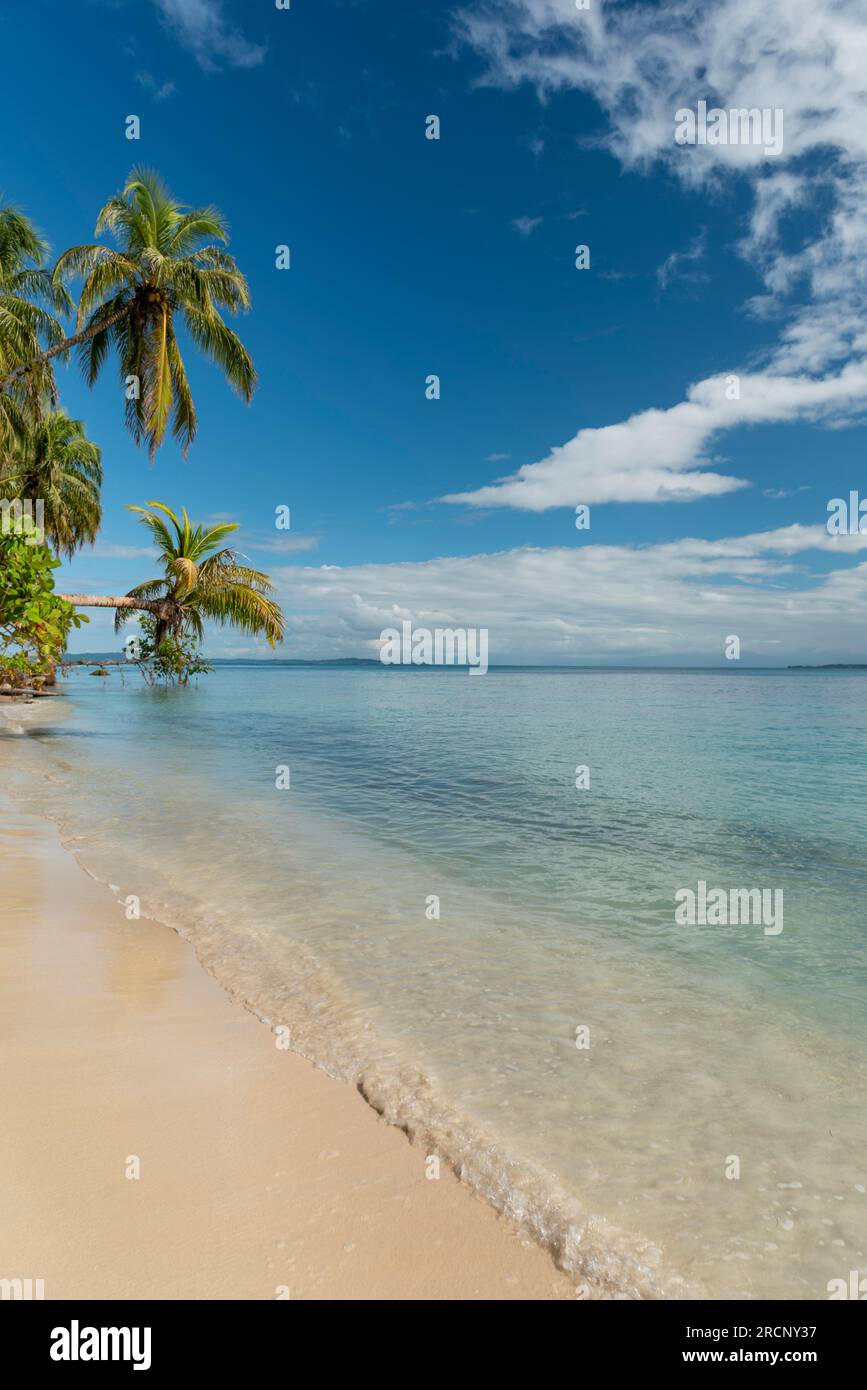 Small island beach in the Caribbean, Zapatilla key, Bocas del Toro ...
