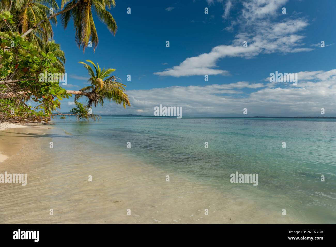 Small island beach in the Caribbean, Zapatilla key, Bocas del Toro ...