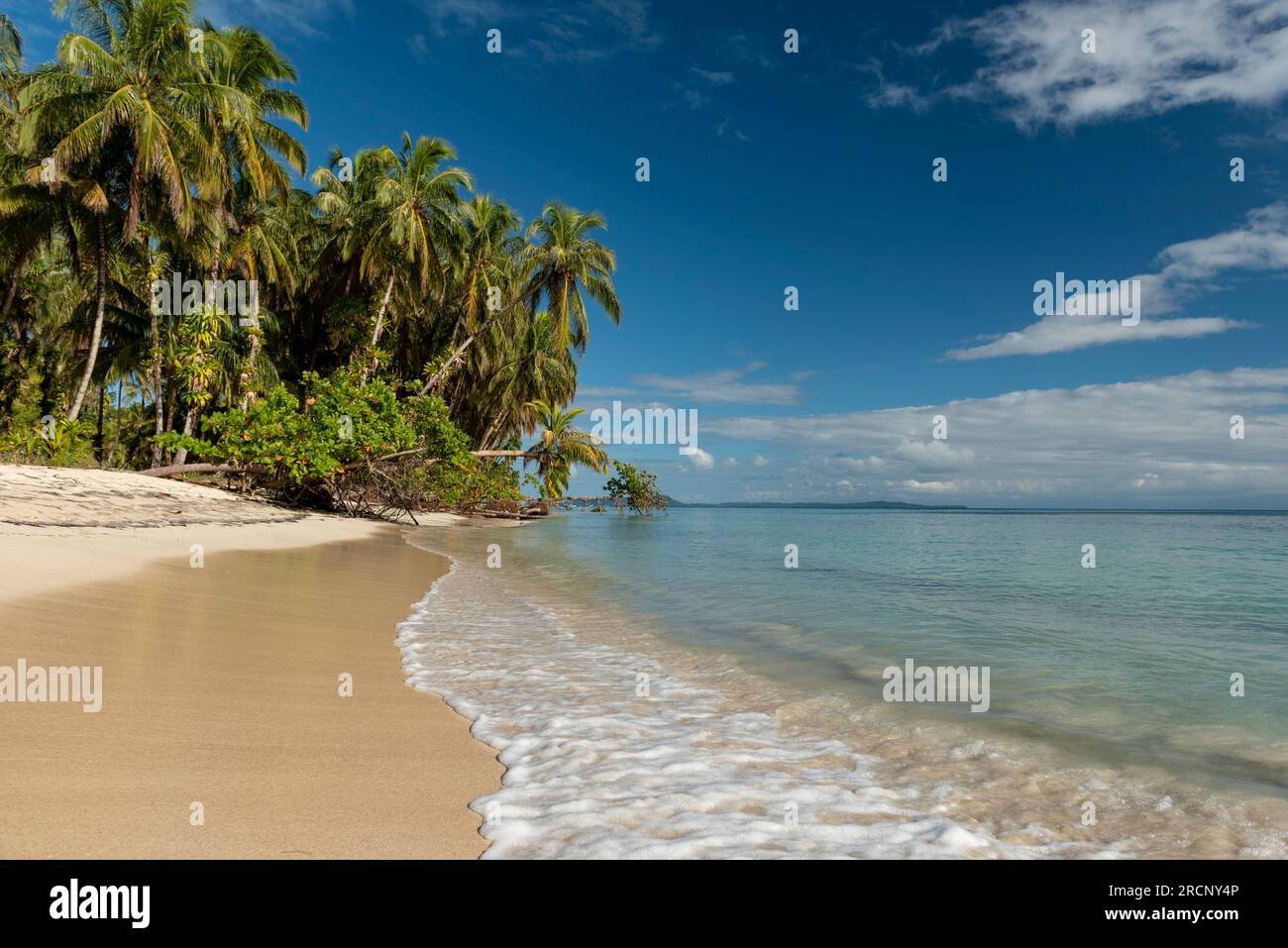 Small island beach in the Caribbean, Zapatilla key, Bocas del Toro ...
