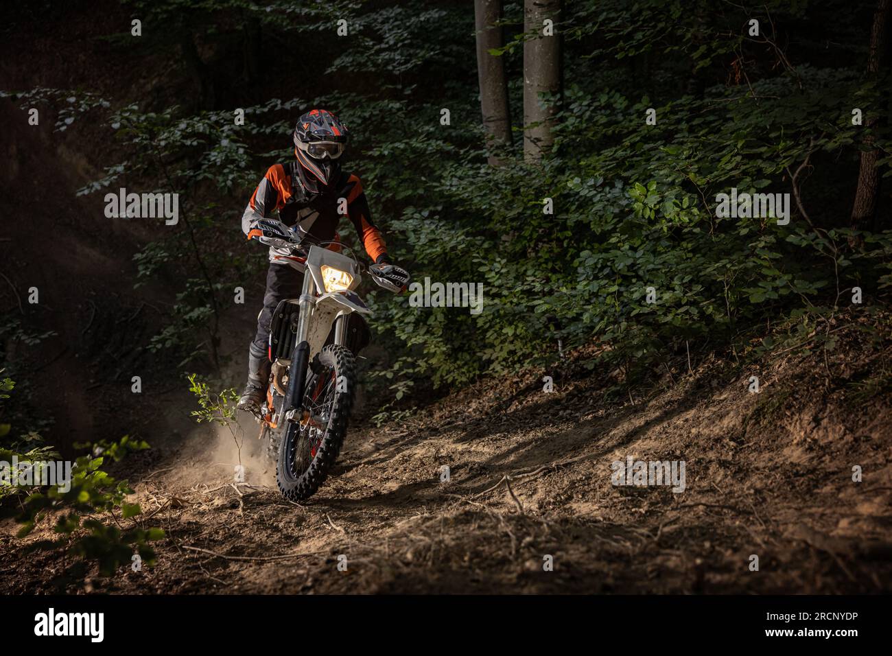 Adventure extreme forest hi-res stock photography and images - Alamy