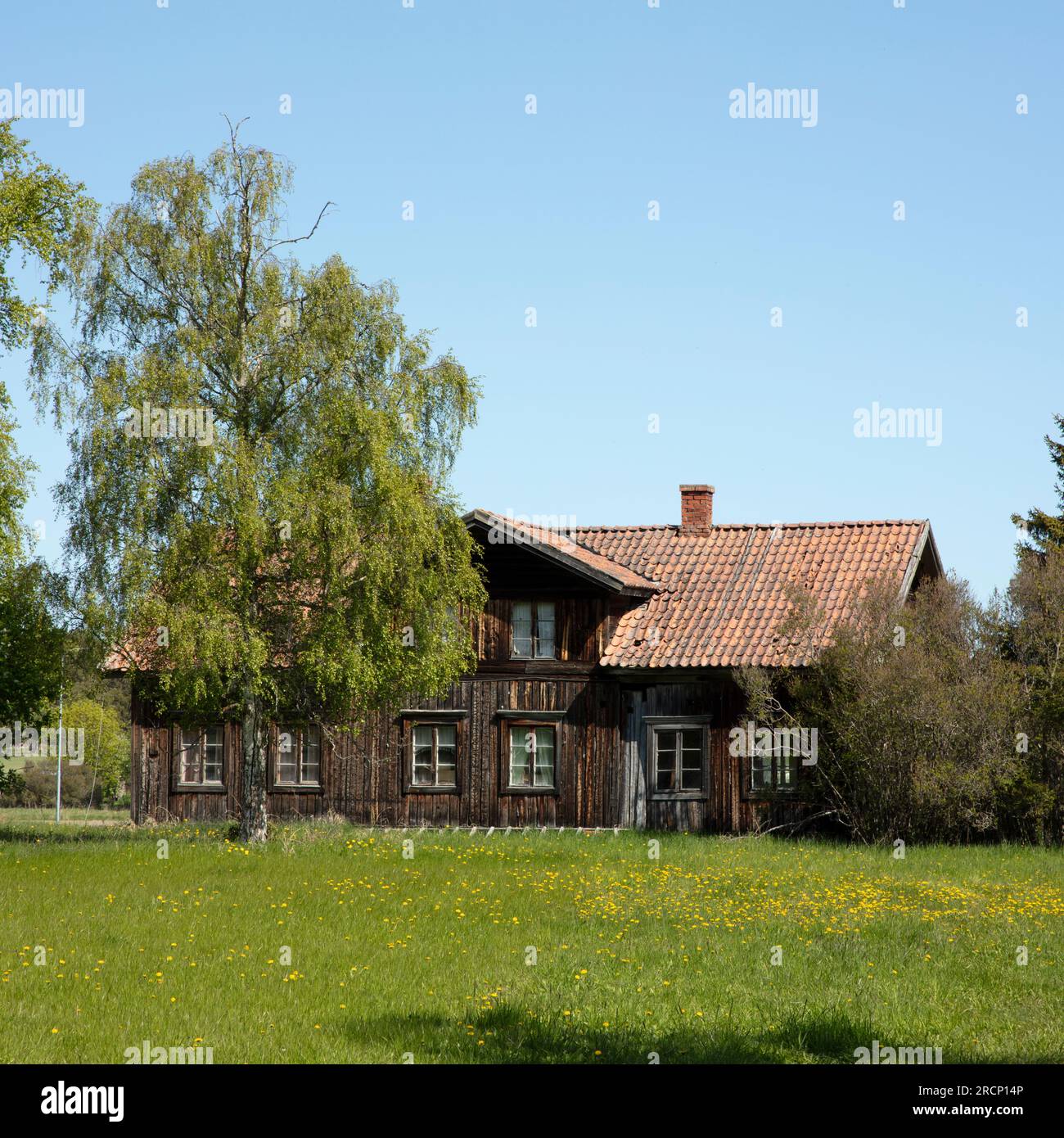 Abandoned buildings in the countryside. Flowerful meadows and trees are ...
