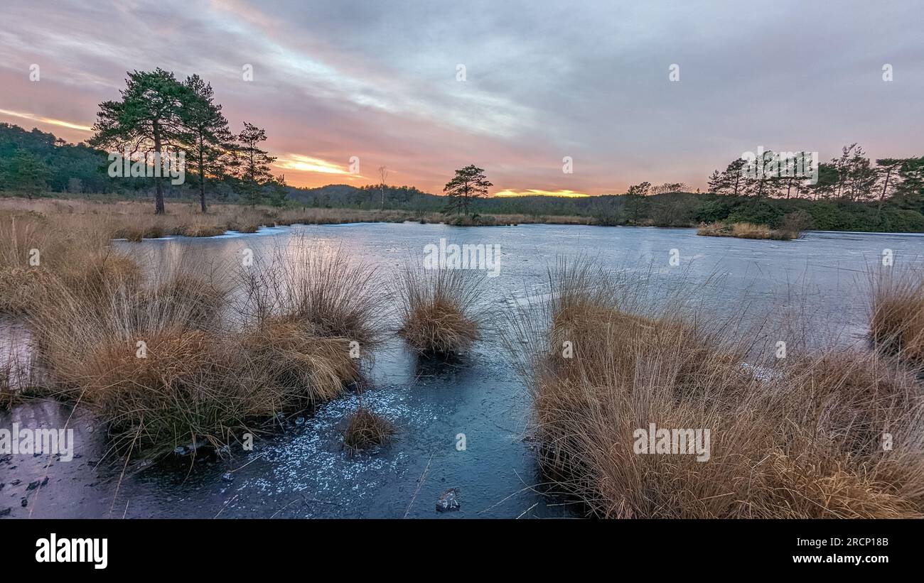 Frensham Common ANOB Nature Reserve Low Land Heath National Trust Axe ...