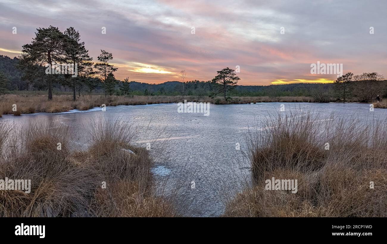 Frensham Common ANOB Nature Reserve Low Land Heath National Trust Axe ...