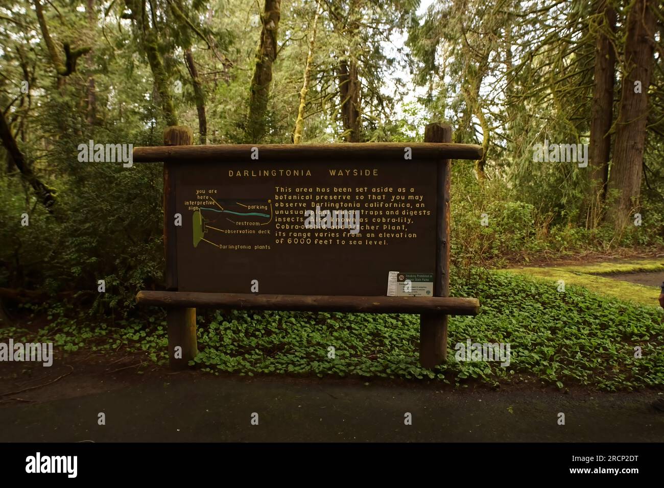 Closeup on the wooden entrance signboard of hte Darlingtonia State ...