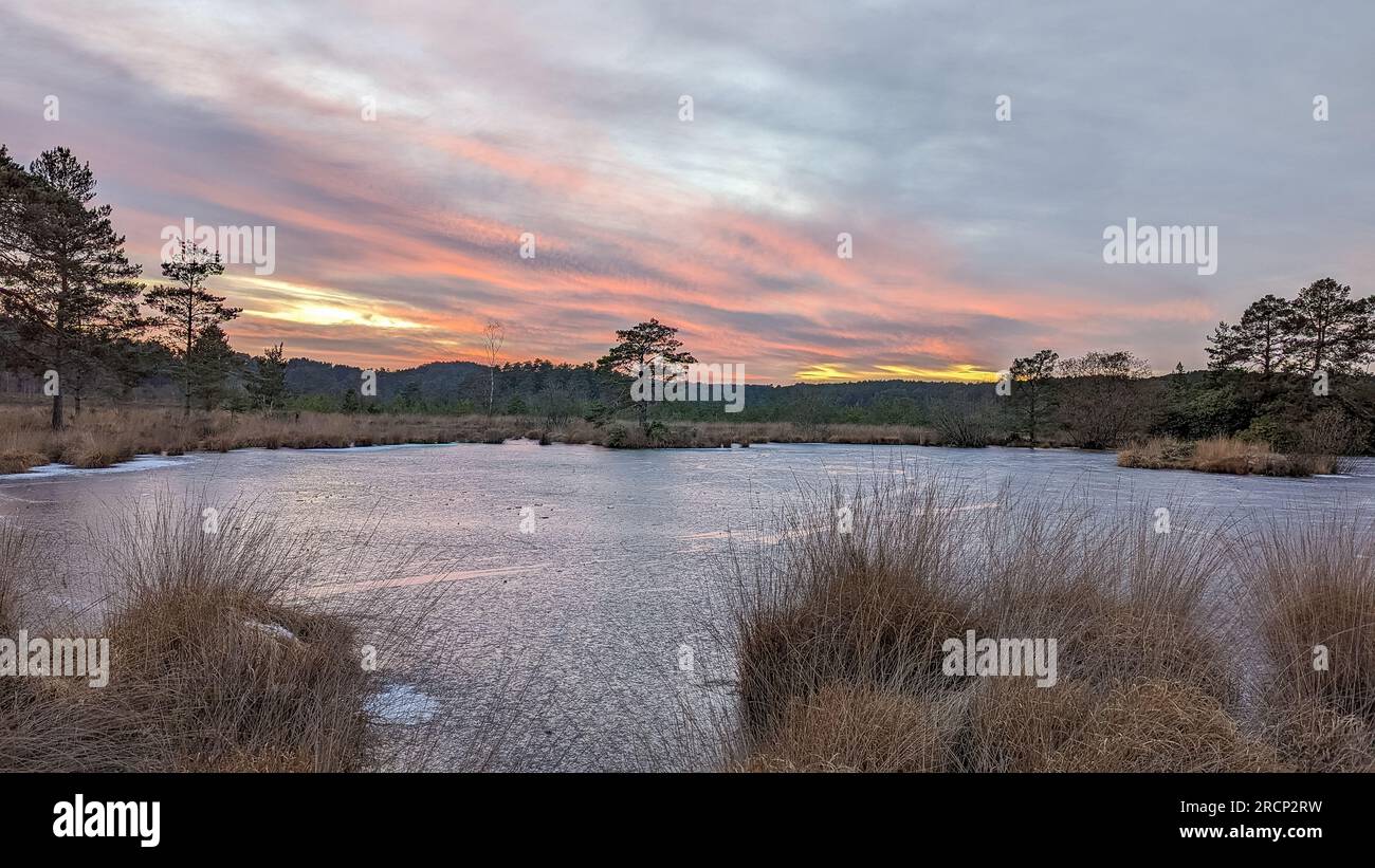 Frensham Common ANOB Nature Reserve Low Land Heath National Trust Axe ...