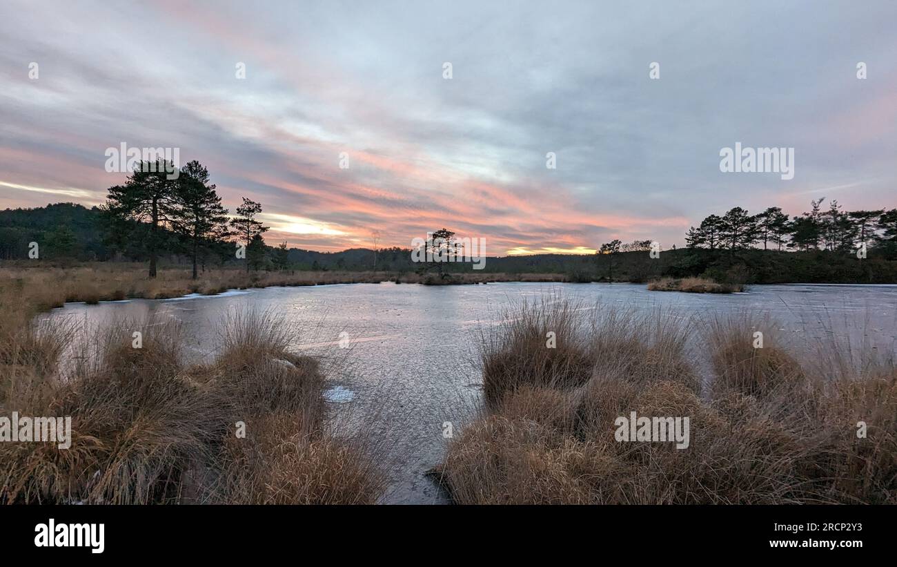Frensham Common ANOB Nature Reserve Low Land Heath National Trust Axe ...