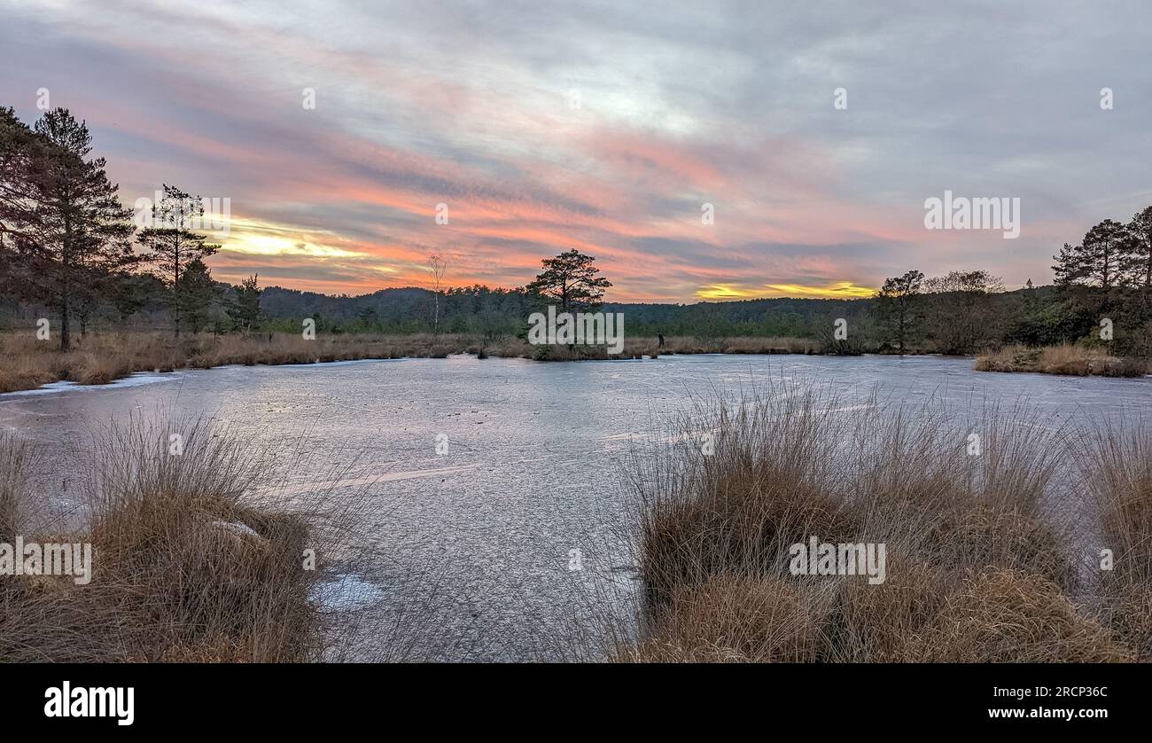 Frensham Common ANOB Nature Reserve Low Land Heath National Trust Axe ...