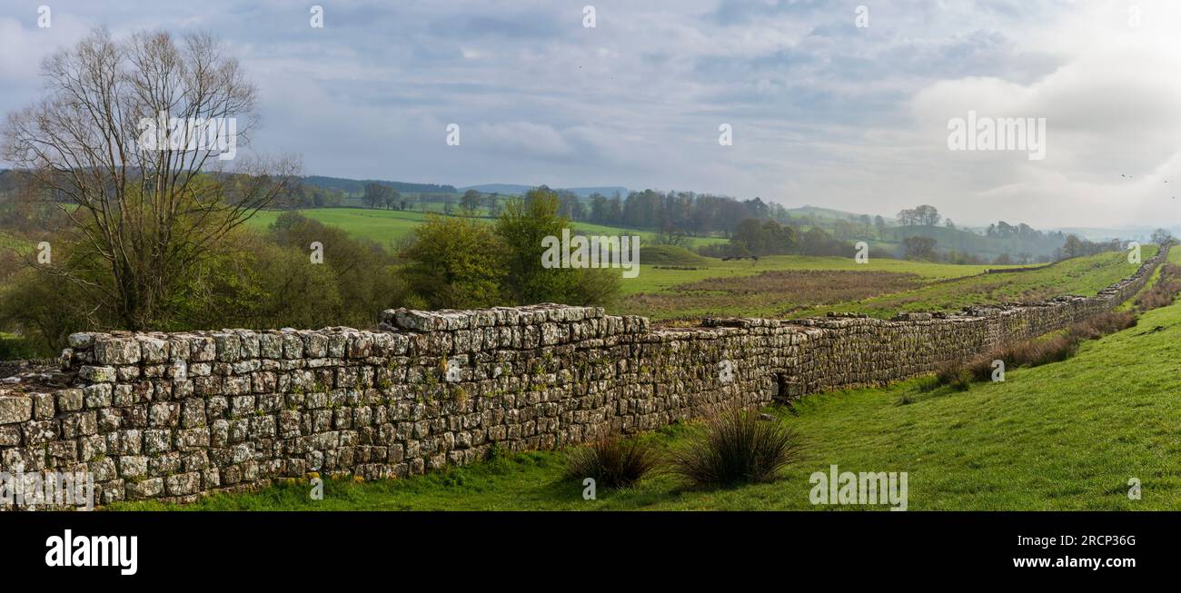 Hadrian's wall near Birdoswald on the Cumbria Northumberland border ...