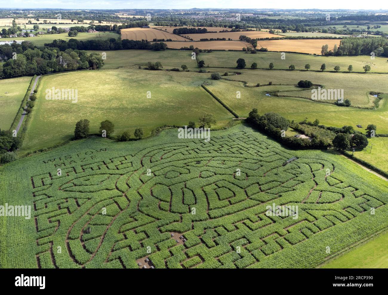 Wistow Maze in Wistow, Leicestershire, which this year has been ...