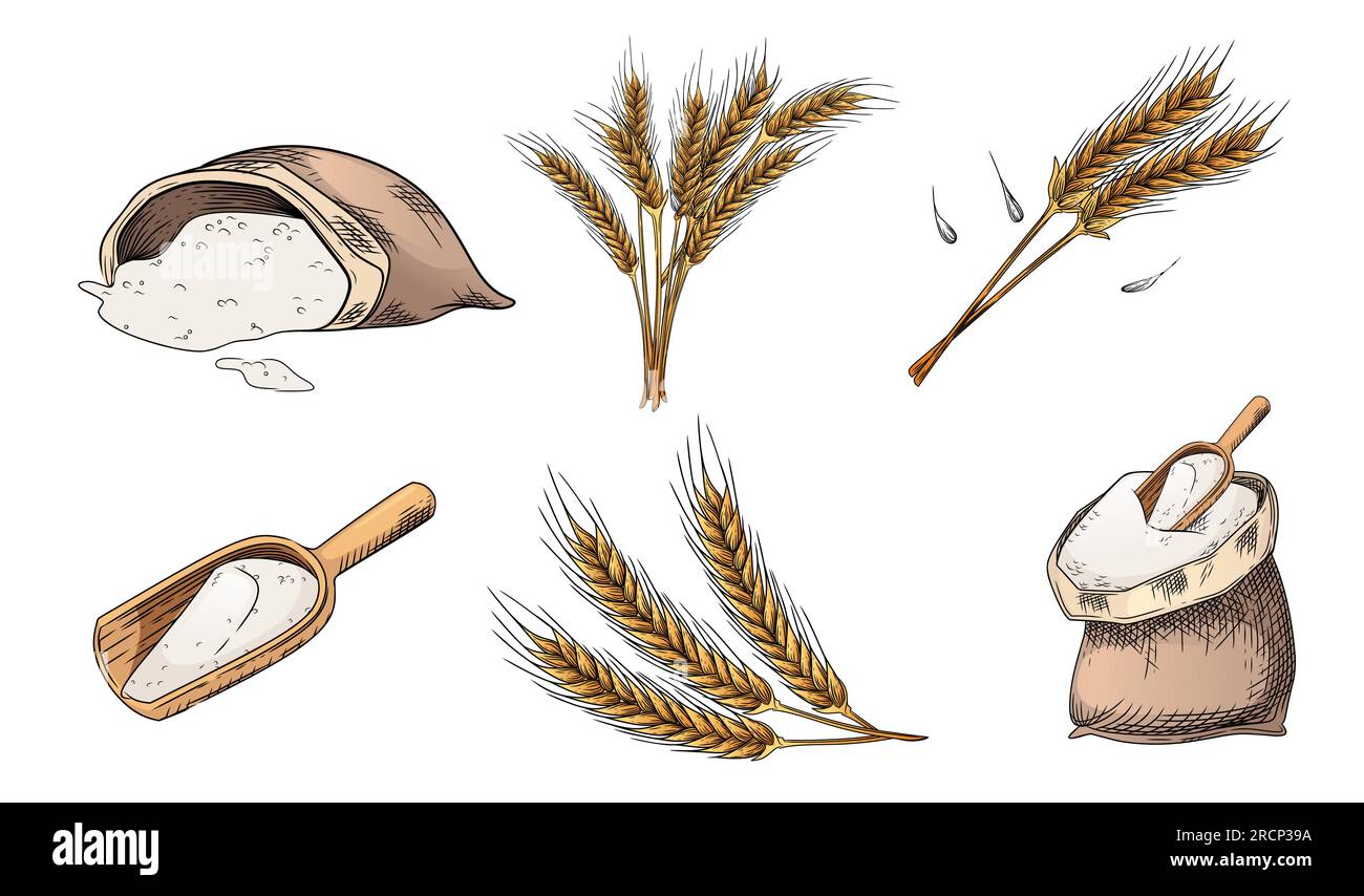 Set of colored sketch of bag of flour with shovel vector illustration ...