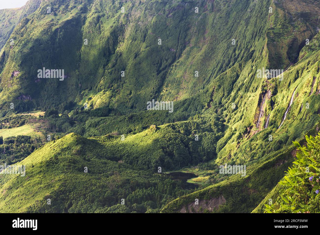 Azores landscape in Flores island. Waterfalls in Pozo da Alagoinha ...