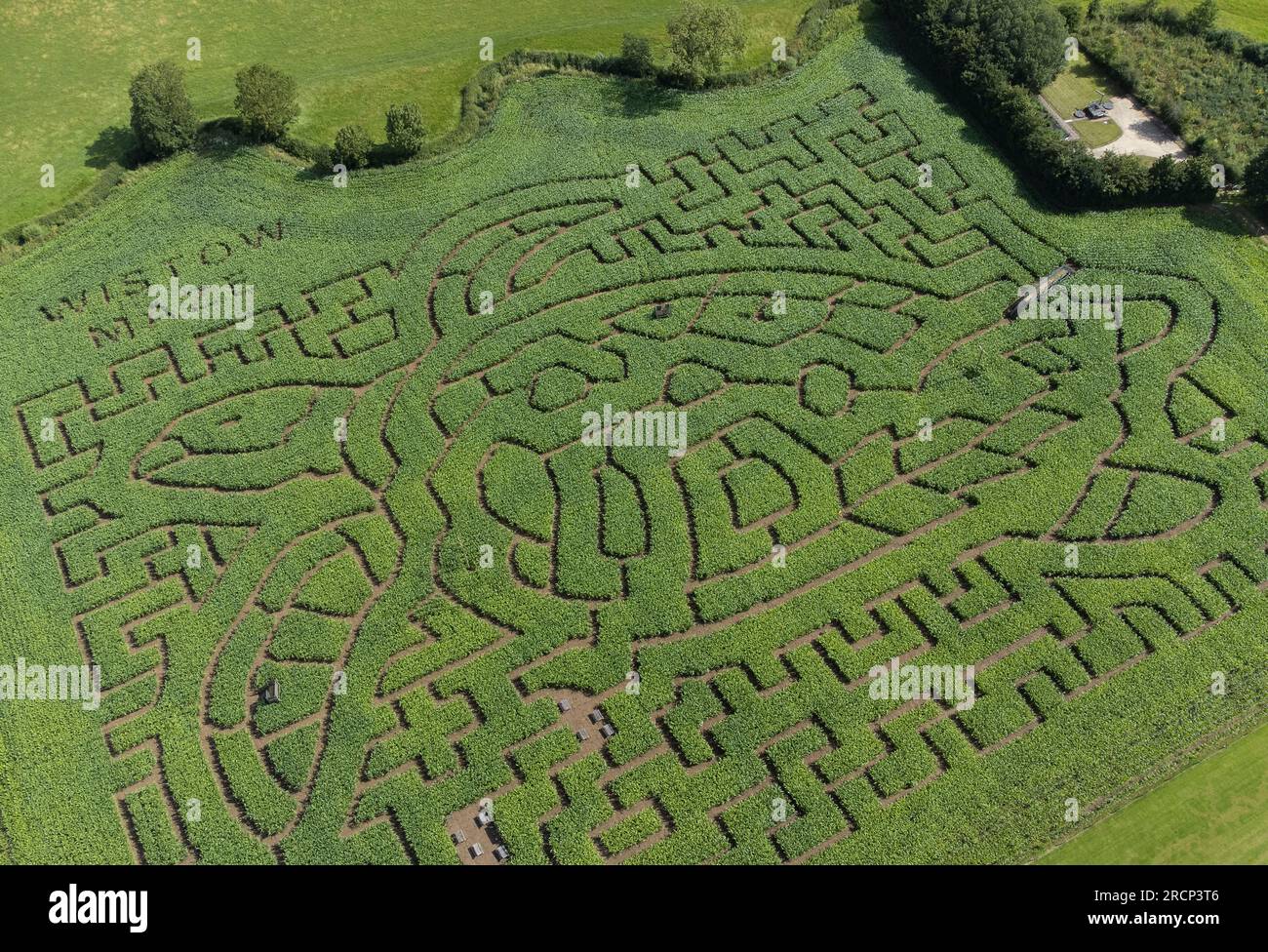 Wistow Maze in Wistow, Leicestershire, which this year has been ...