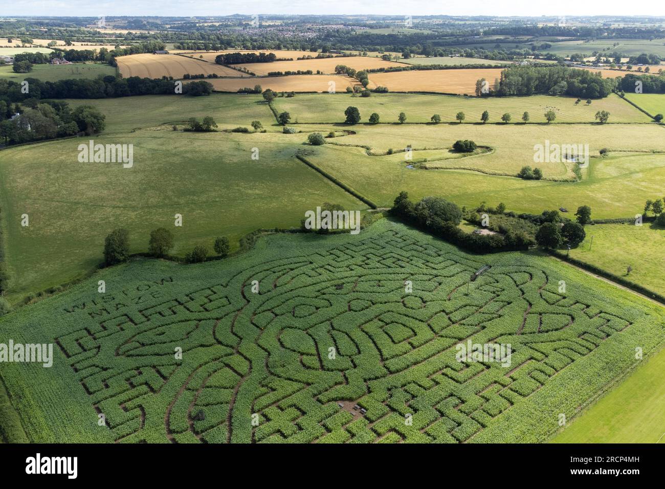 Wistow Maze in Wistow, Leicestershire, which this year has been ...