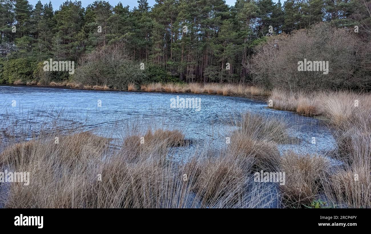 Frensham Common ANOB Nature Reserve Low Land Heath National Trust Axe ...