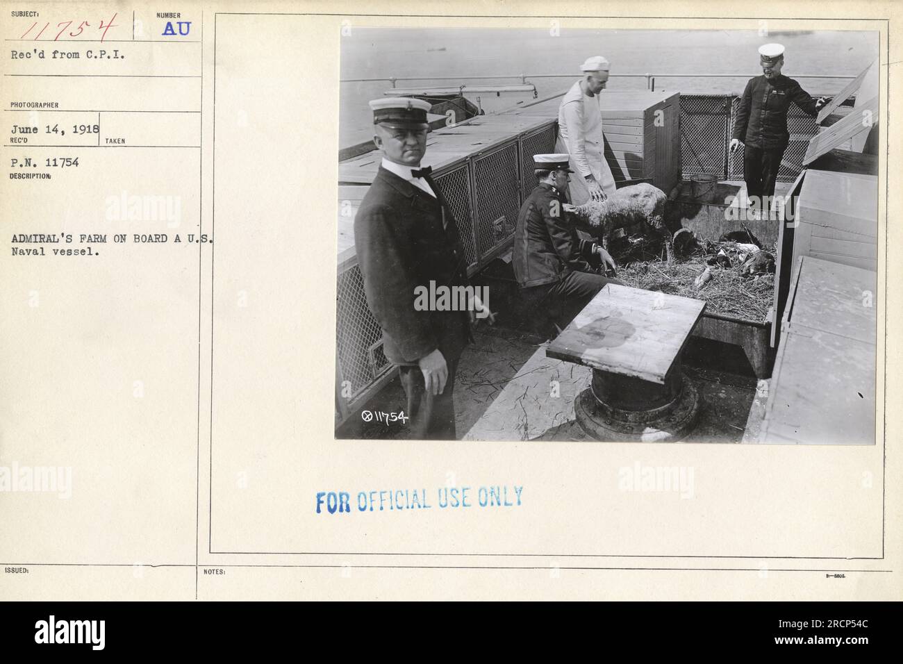 Soldiers tending to sheep on board a U.S. Naval vessel during World War ...