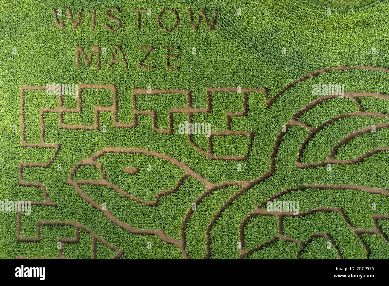 Wistow Maze in Wistow, Leicestershire, which this year has been ...
