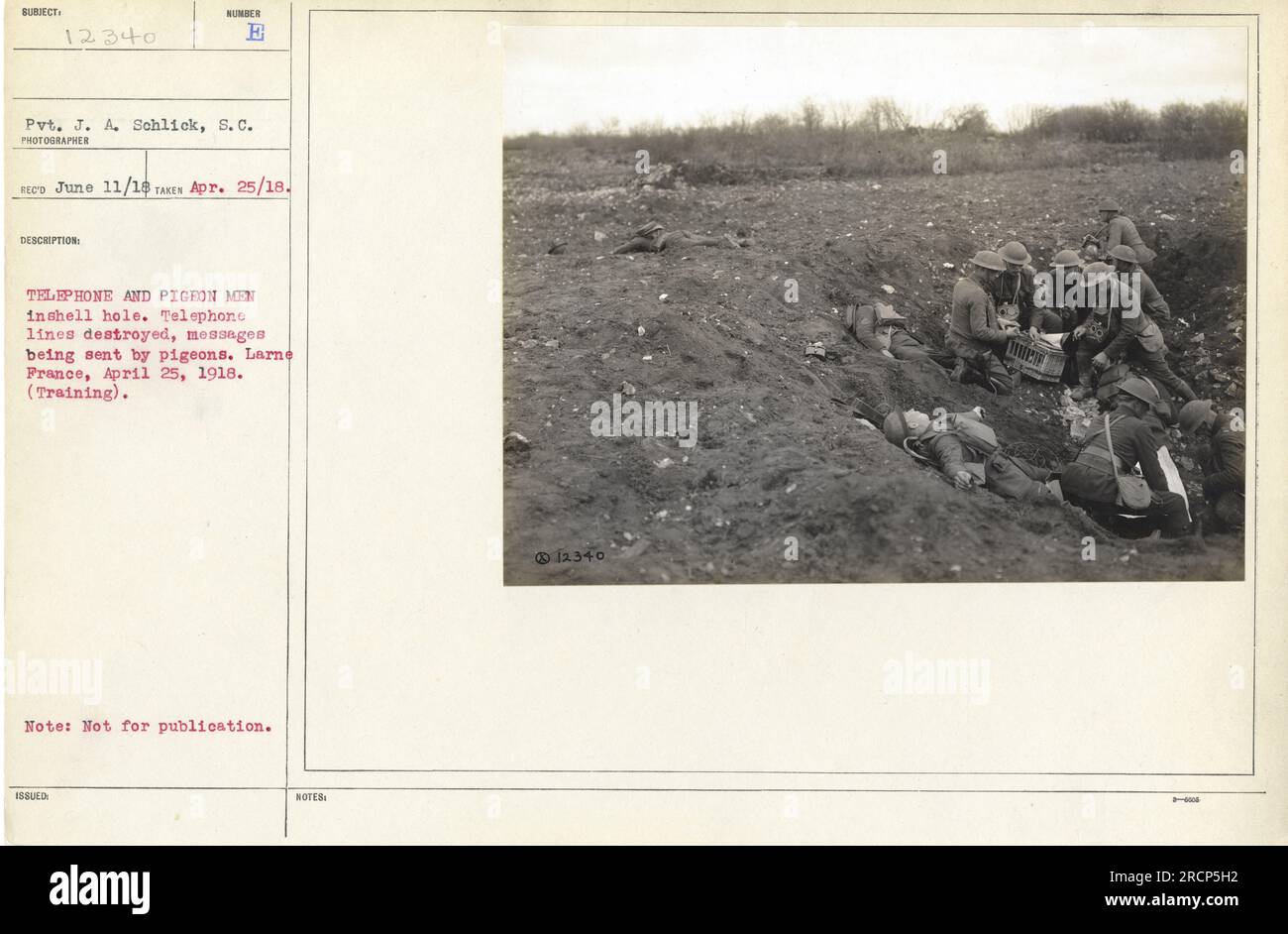 Soldiers using pigeons hi-res stock photography and images - Alamy