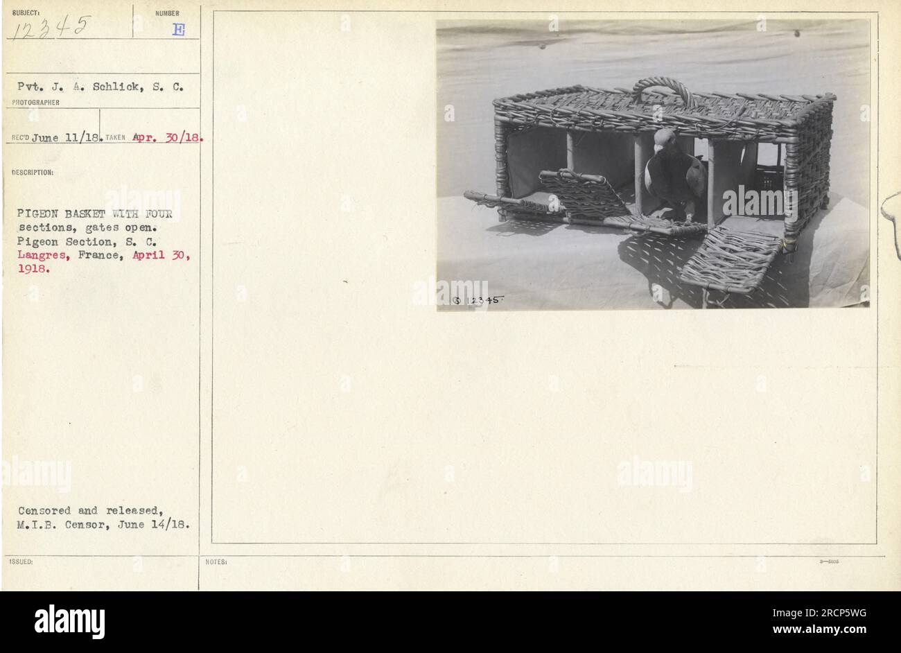 Pigeon basket with four sections, with the gates open. This photo ...