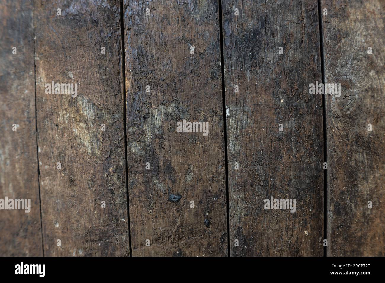 Oak Barrel Wood Grain