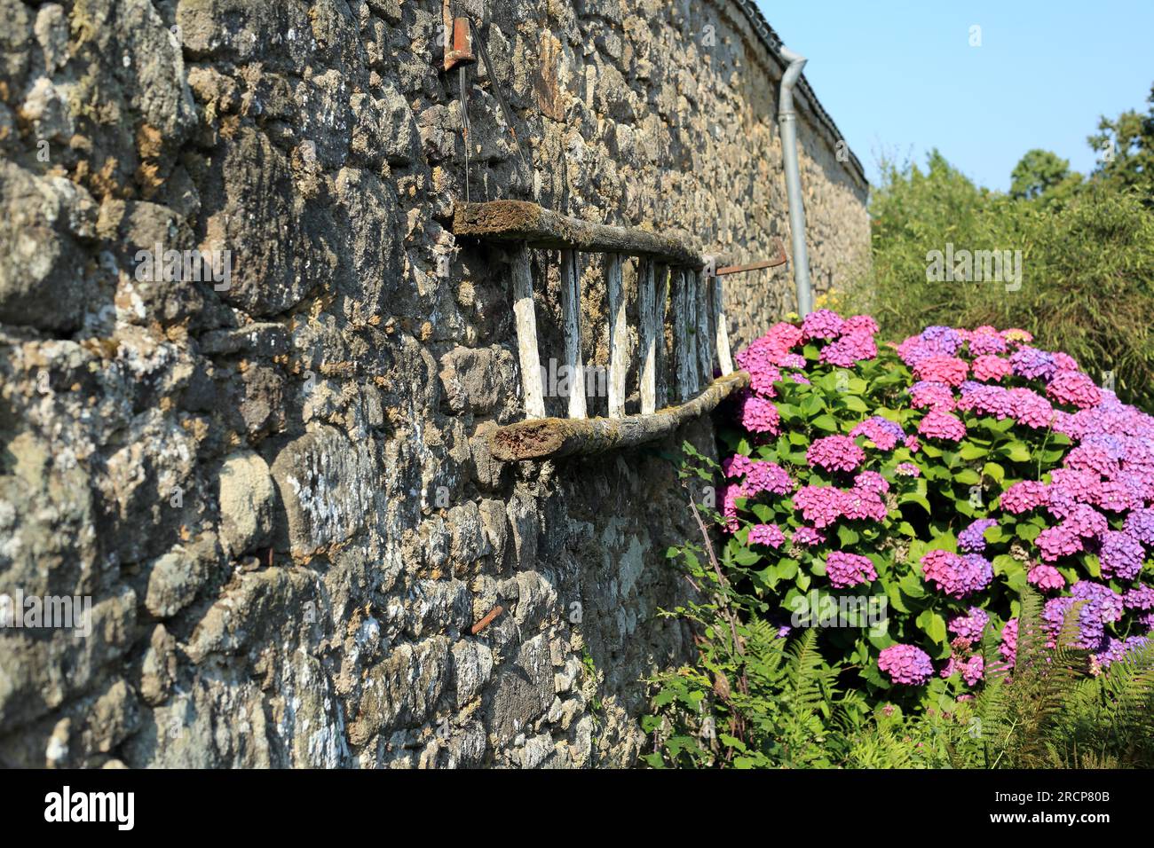 Old ladder hanging on the wall of a stone building alongside a ...