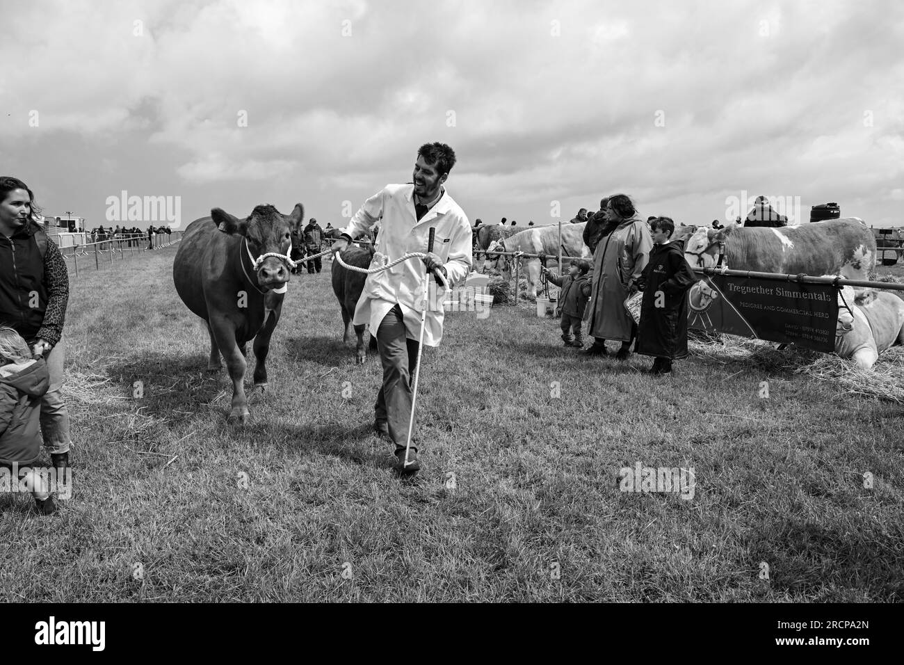 Cornwall county show arena hi-res stock photography and images - Alamy