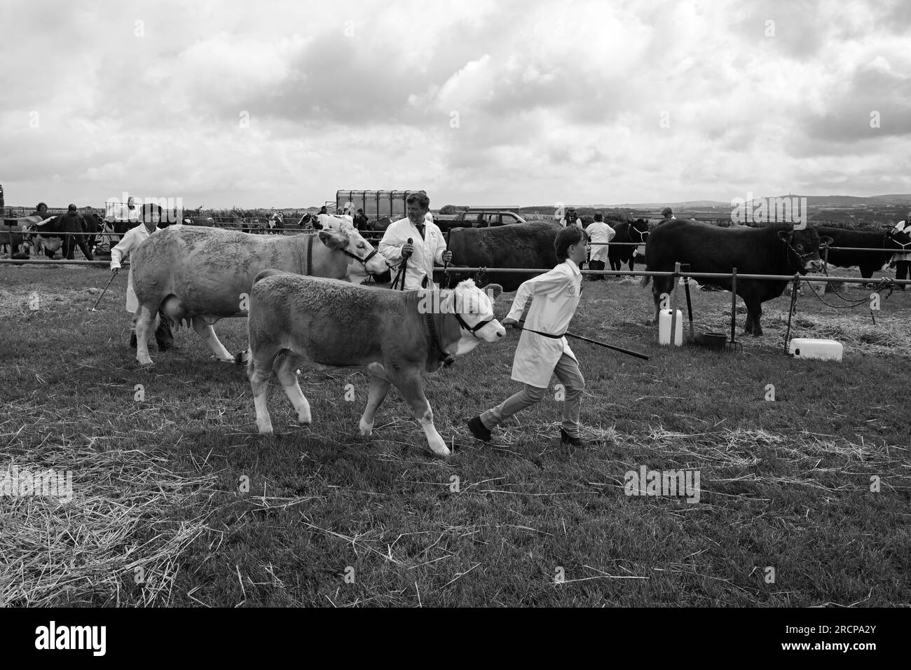 Camborne Show Agricultural show Stock Photo - Alamy