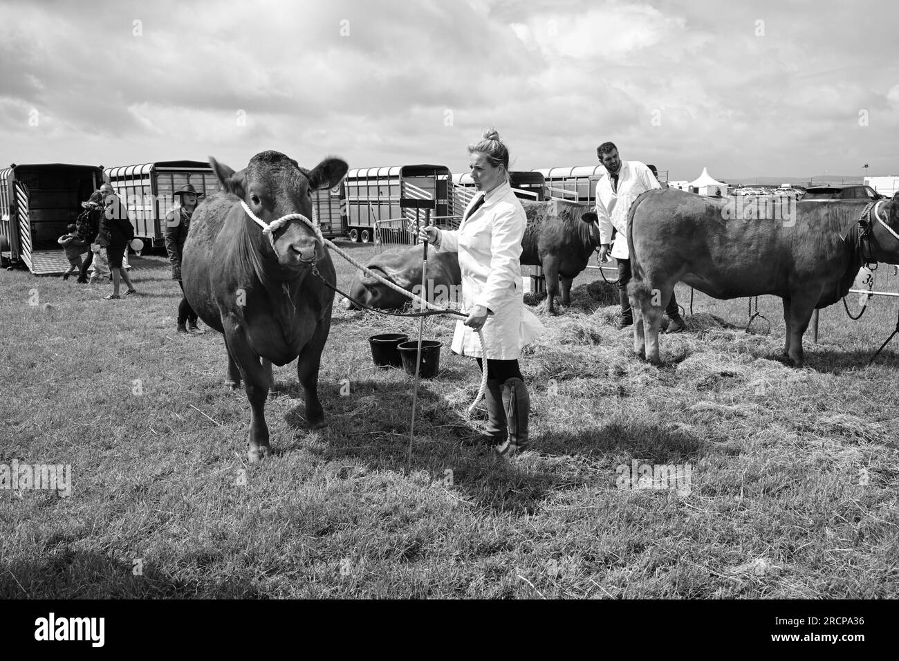 Camborne Show Agricultural show Stock Photo - Alamy