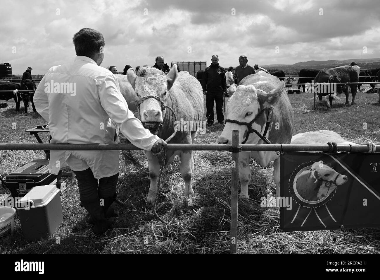 Camborne Show Agricultural show Stock Photo - Alamy