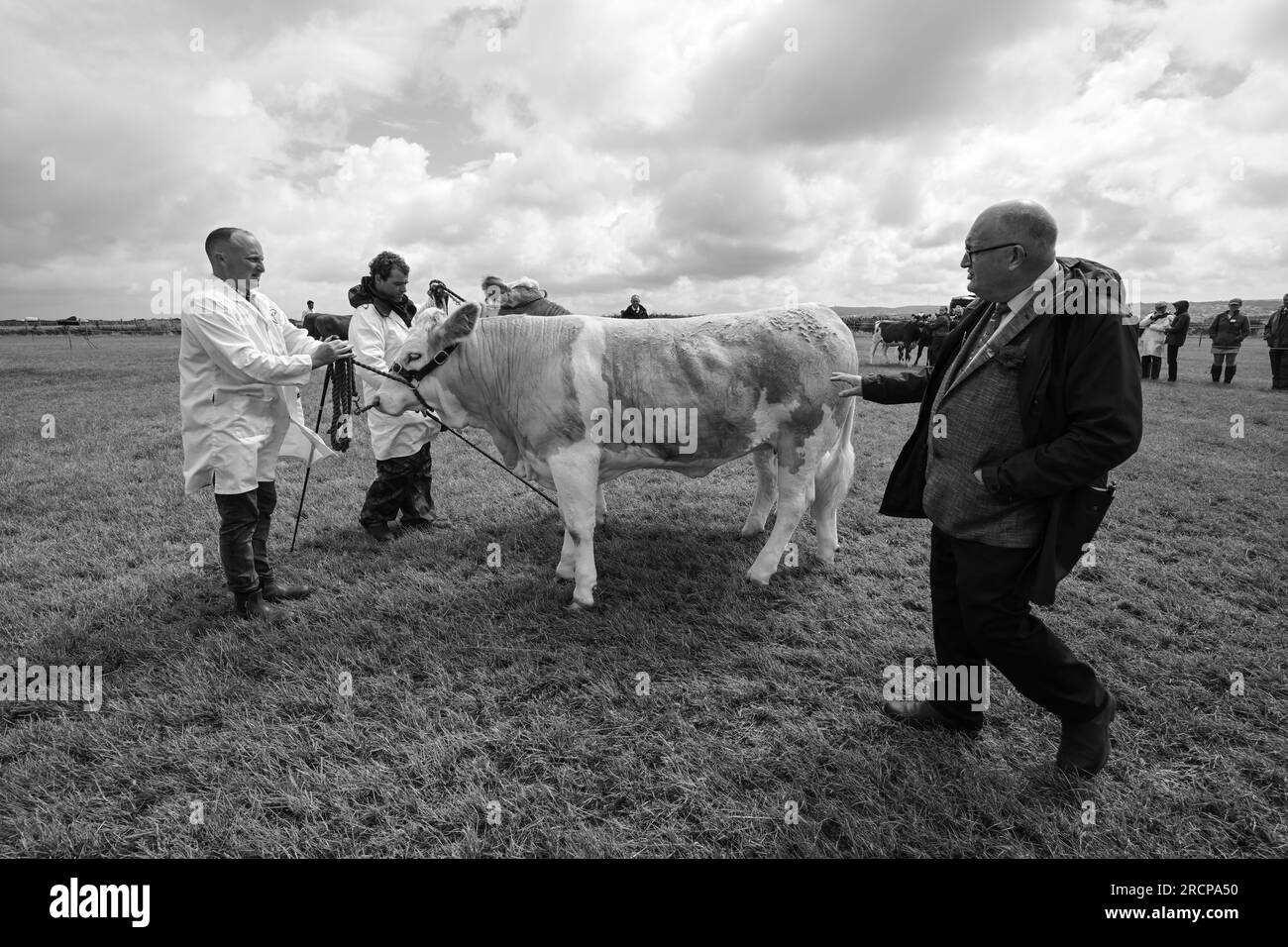 Camborne Show Agricultural show Stock Photo - Alamy