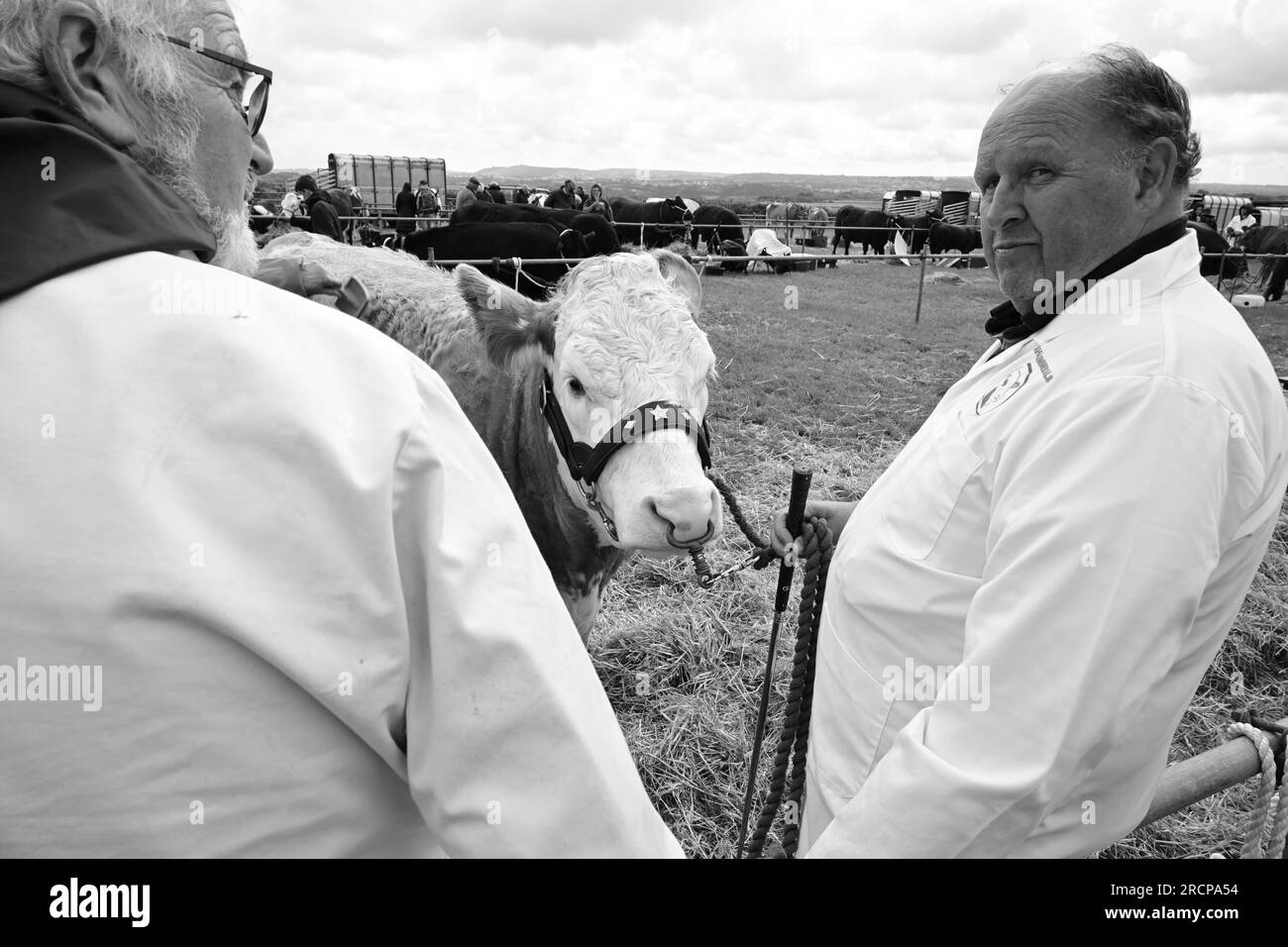 Camborne Show Agricultural show Stock Photo - Alamy