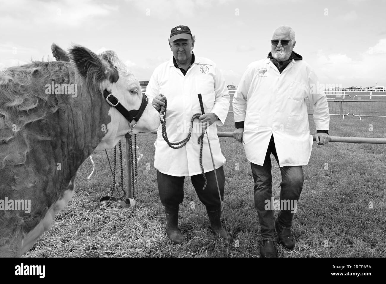 Camborne Show Agricultural show Stock Photo - Alamy