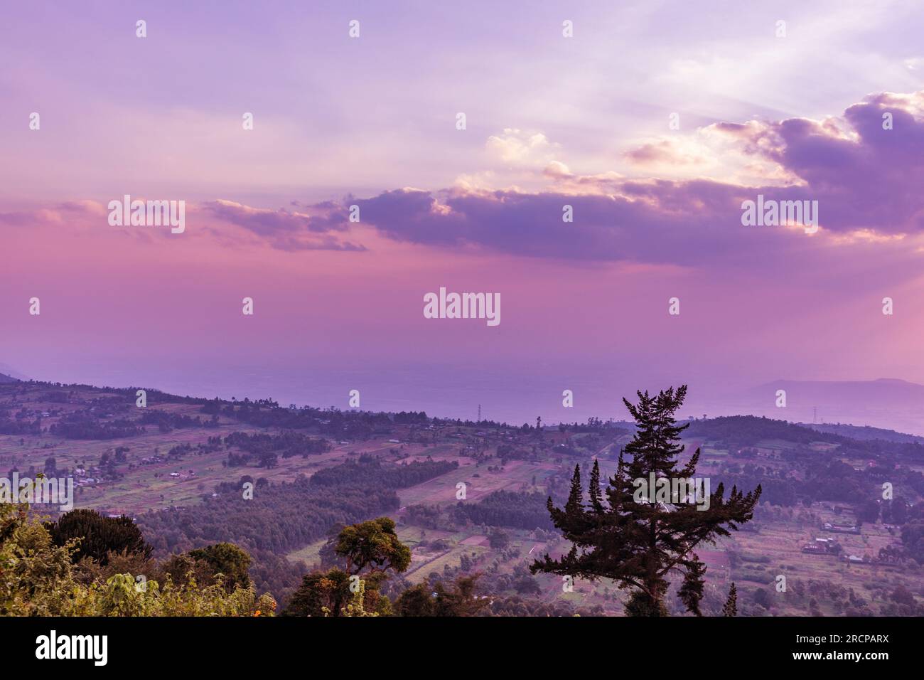 Kenyan Landscapes, Fields, Meadows, Plants, Vegetations, Maai Mahiu ...